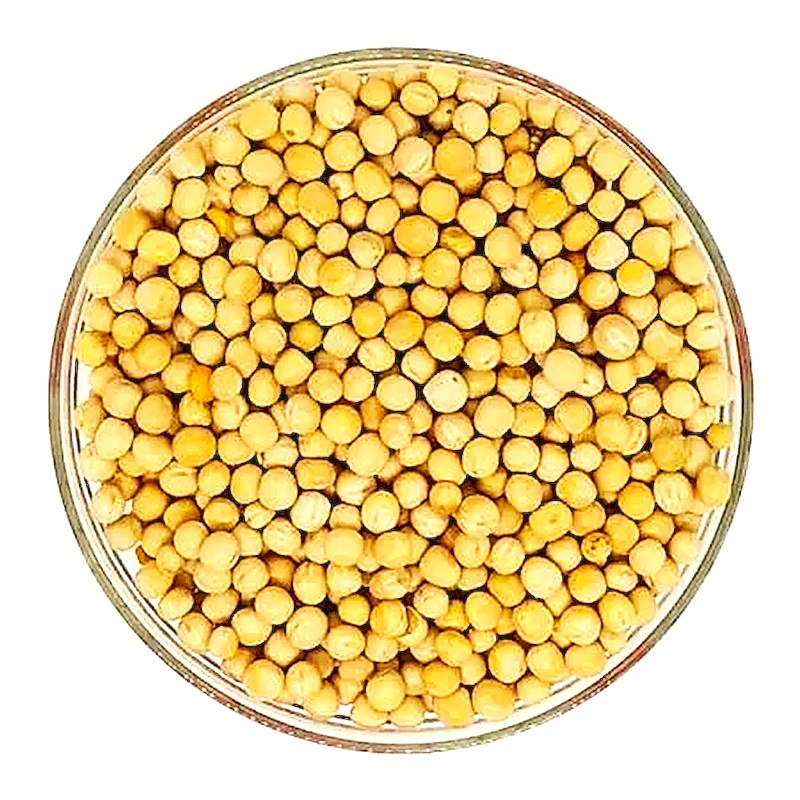 Groceries :: Daal & Chola :: Daily Shopping Dabli (Whole)- 1Kg